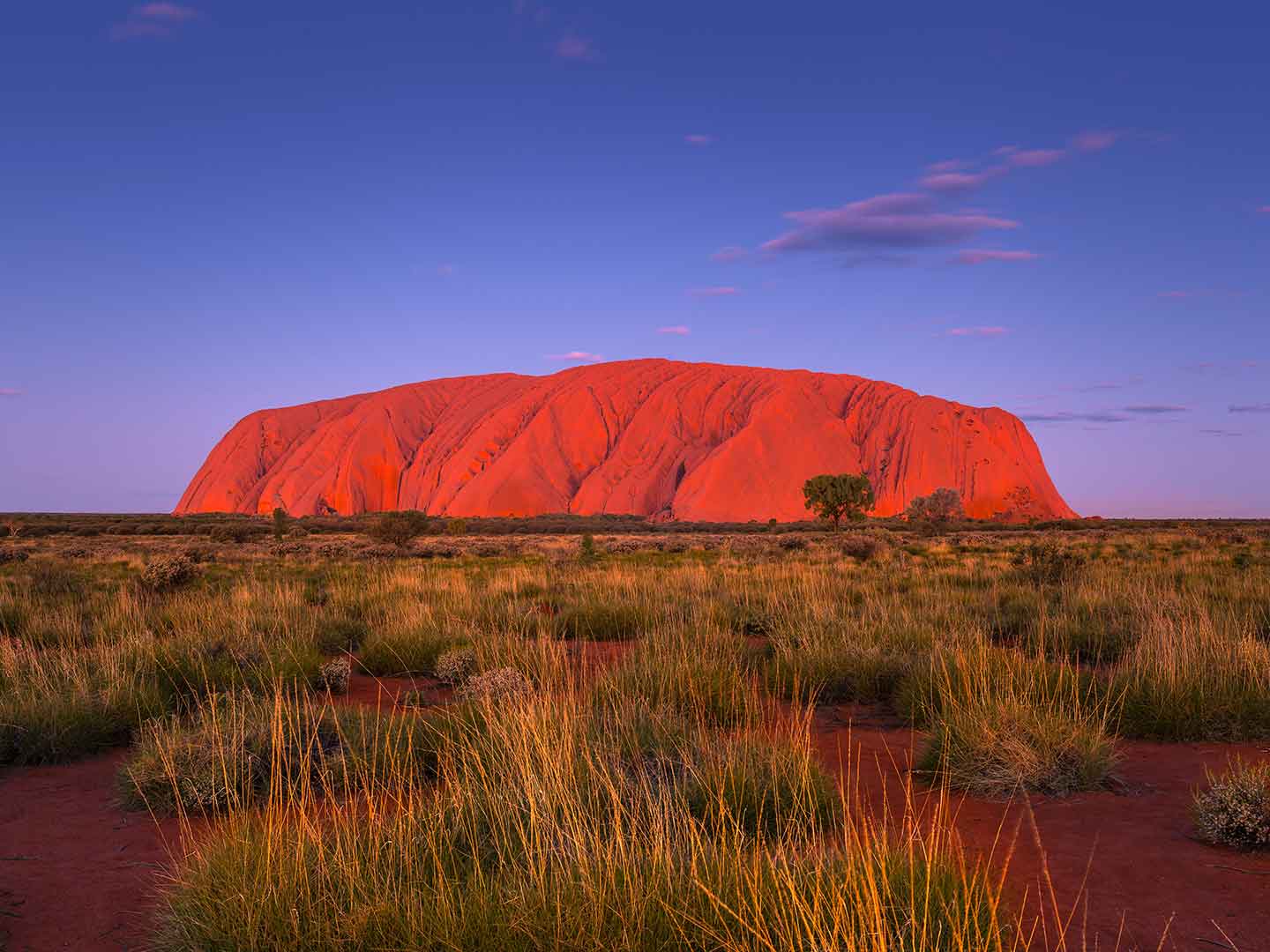 Book The Rock Trip Uluru Tour | Mulgas Adventures
